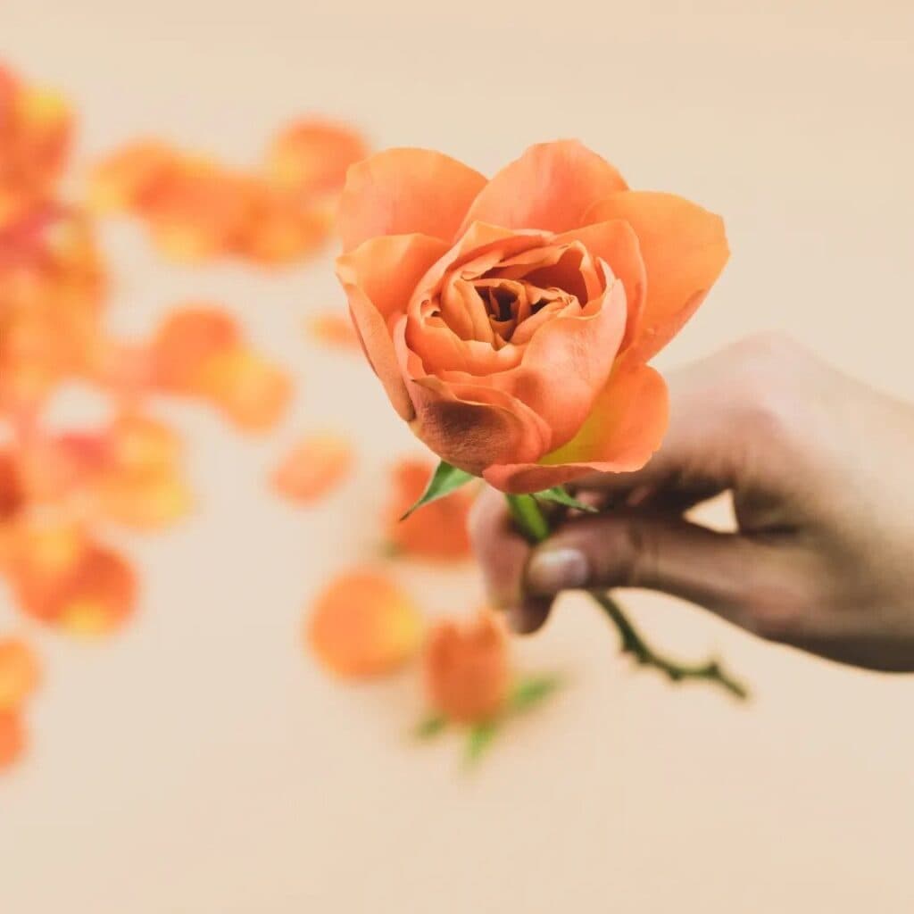 22 Years of Marriage, 9 Kids Later: How His Affair Transformed My Life ...